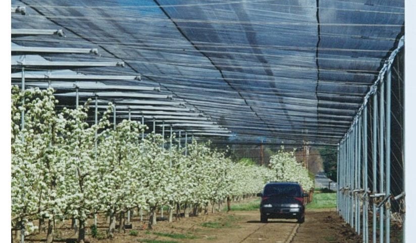 Agricultural Hail Protection - Other Solutions - WeatherSolve Structures